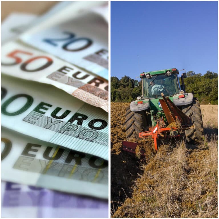 Gailtal Journal - Sparpläne für Österreich: Ist der Klimabonus 2025 ...