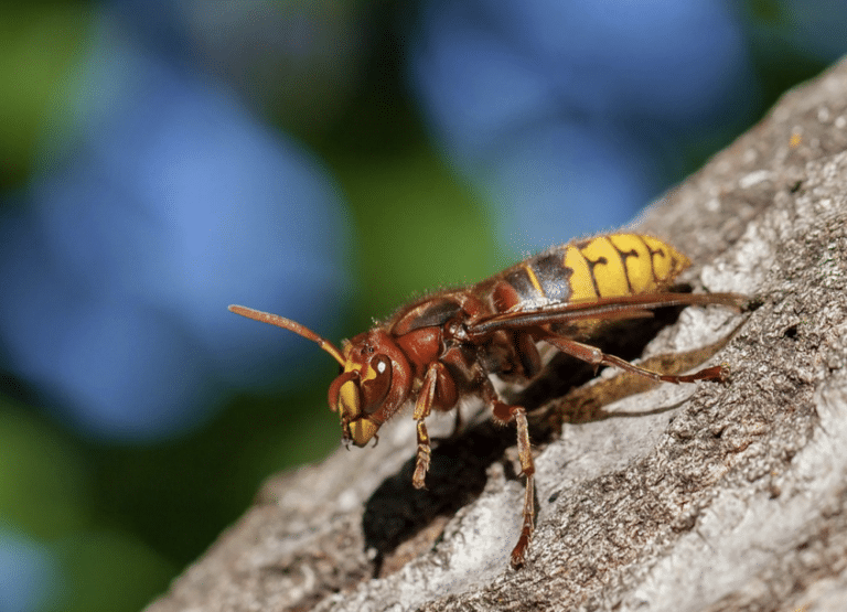 Video bokep cina xnxx probably not the woman in the photos